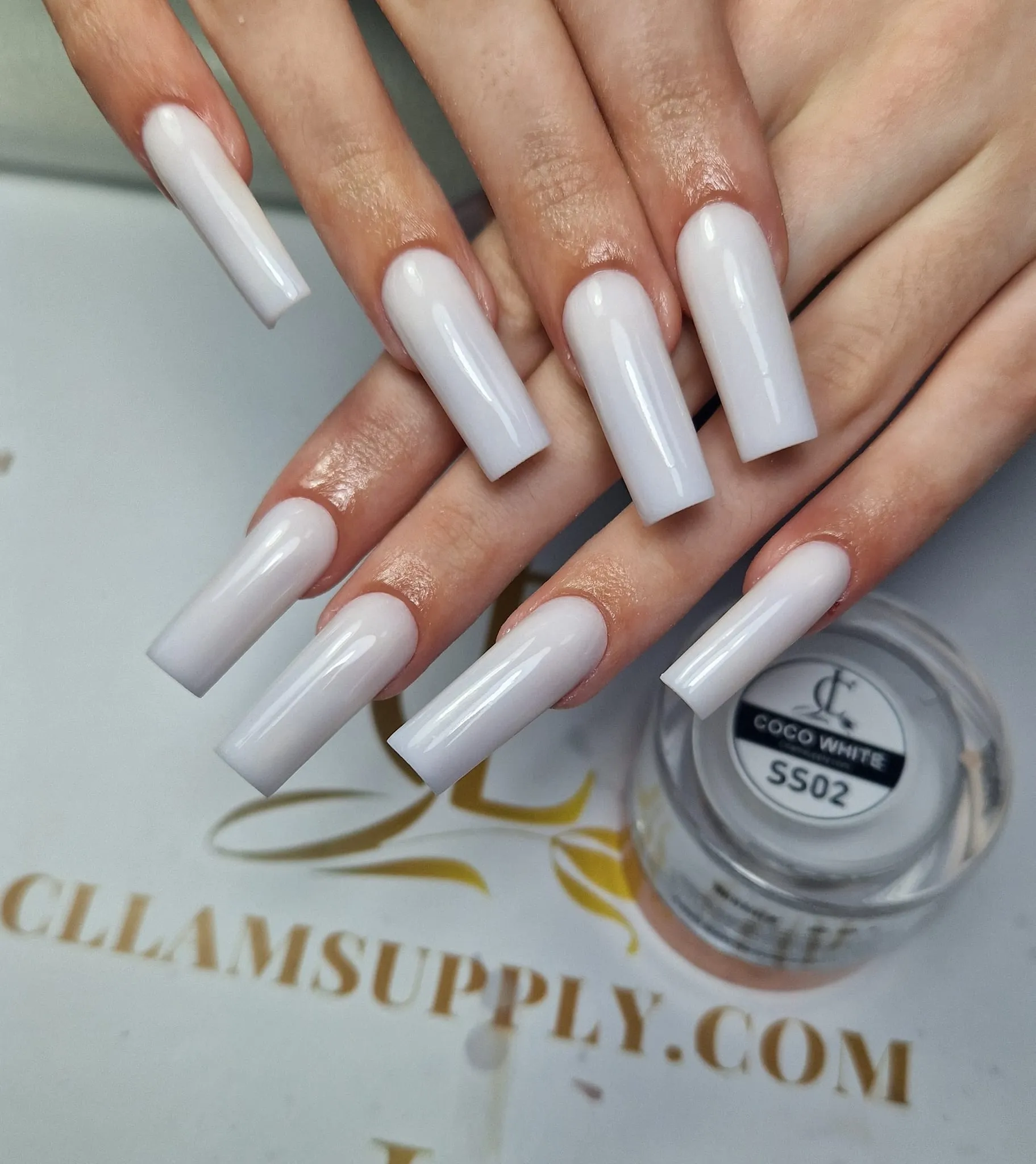 Coco White - SS02 - Cllam Supply